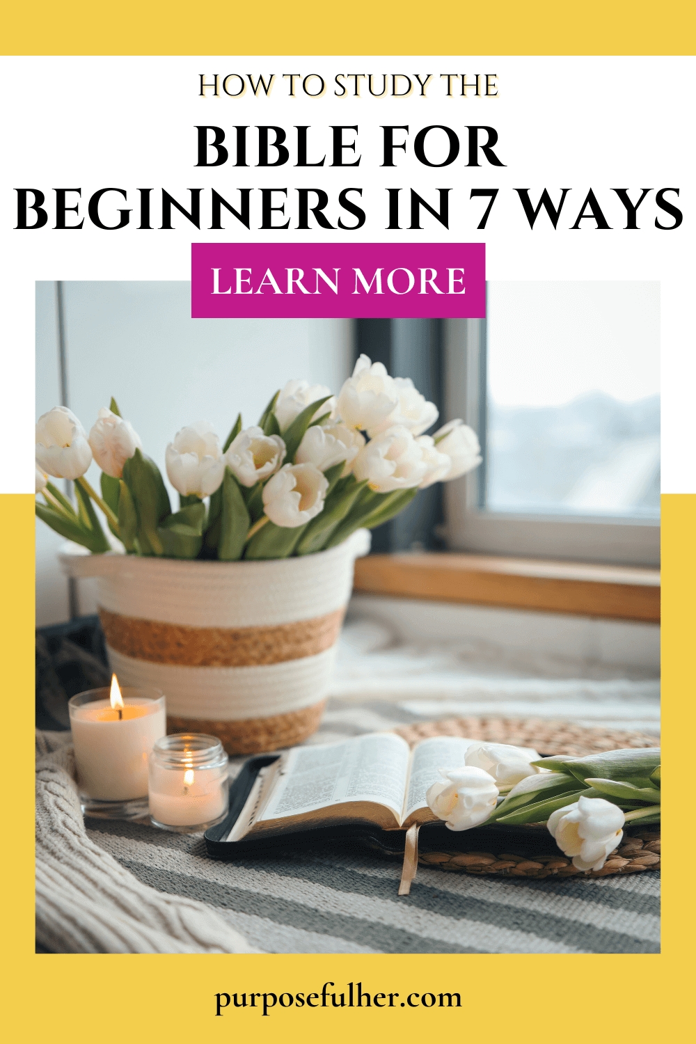 7 Easy Ways To Study The Bible As A Beginner | Purposeful Her